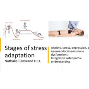 Stages of stress adaptation. Integrative osteopathic understanding ...